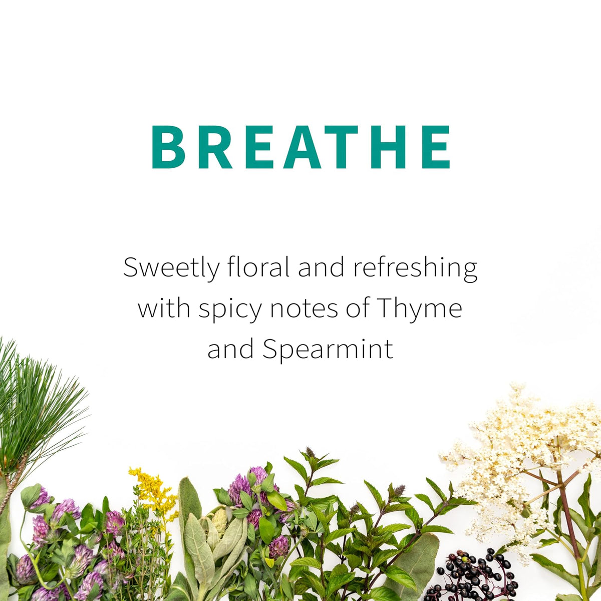 loose leaf herbal tea for better breathing