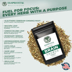loose leaf herbal tea for focus