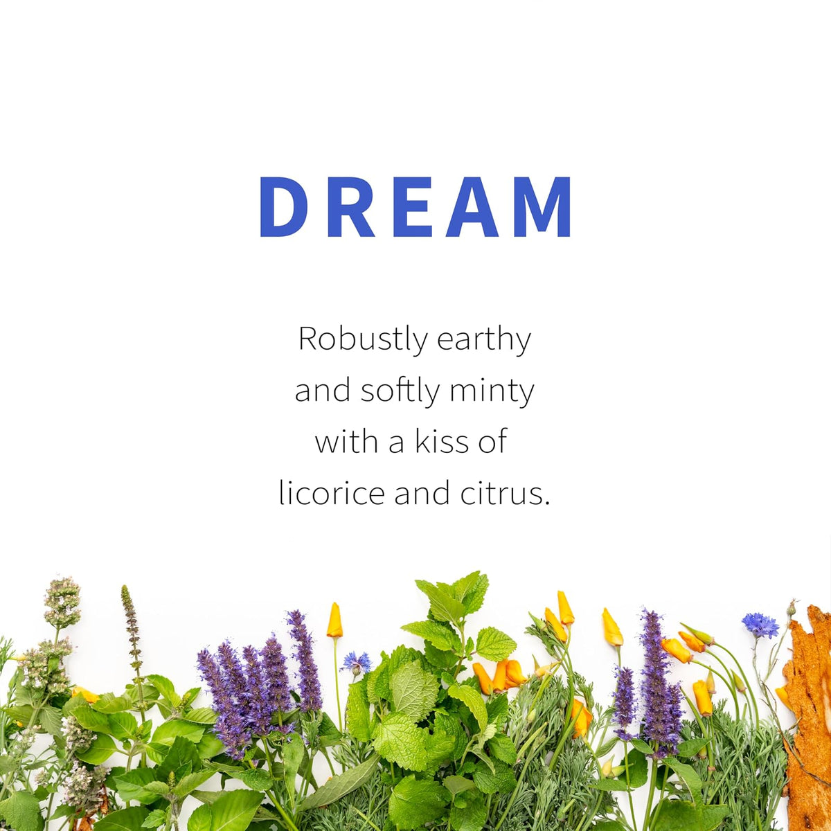 loose leaf herbal tea for relaxation