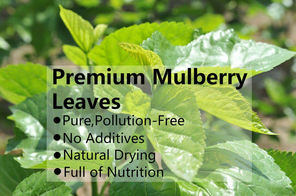 loose leaf herbal tea for wellness