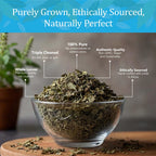 loose leaf holy basil herbal benefits