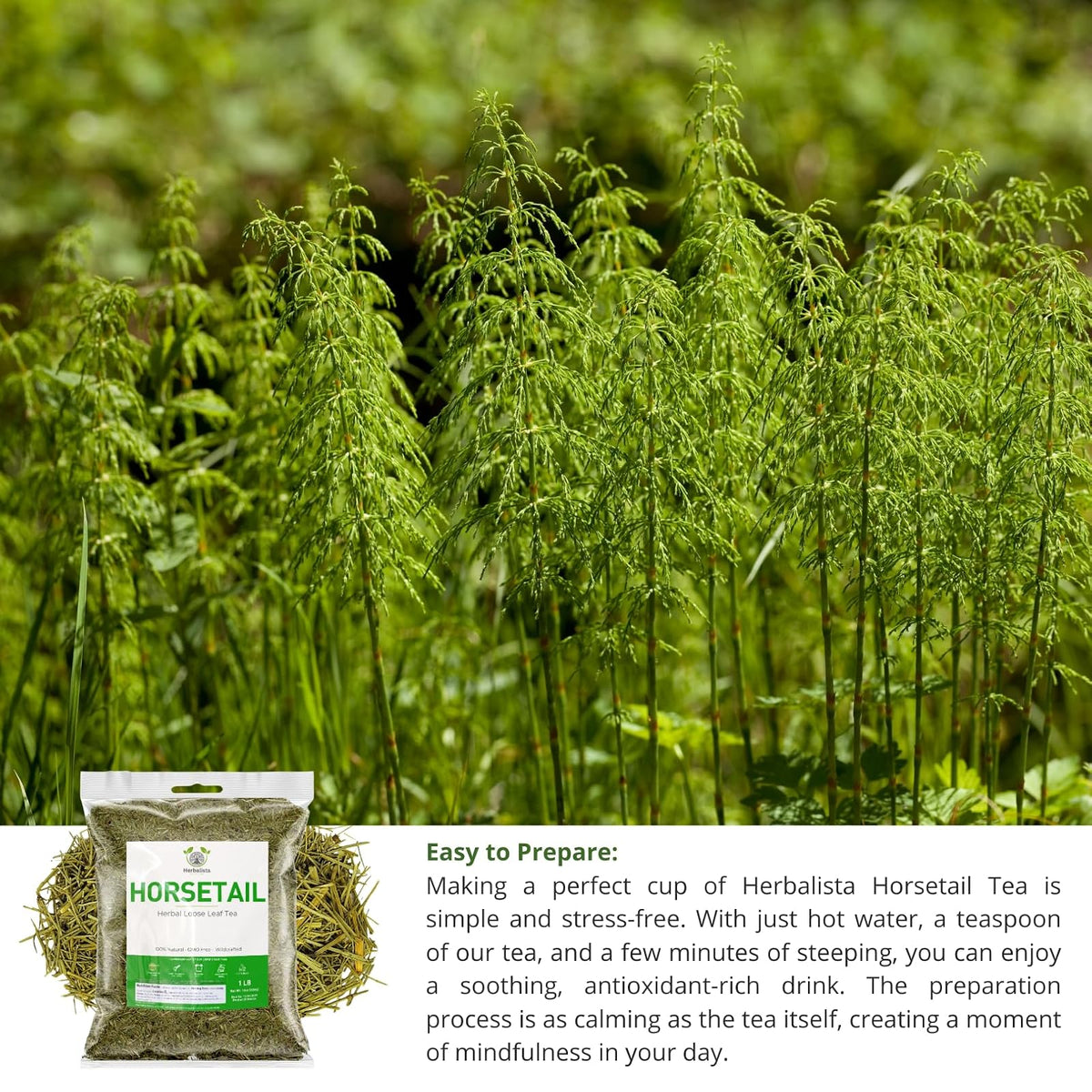 Loose leaf horsetail tea for brewing