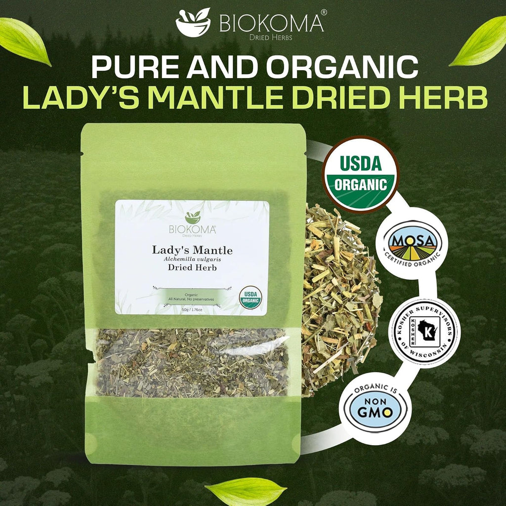 loose leaf lady's mantle tea benefits