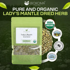 loose leaf lady's mantle tea benefits
