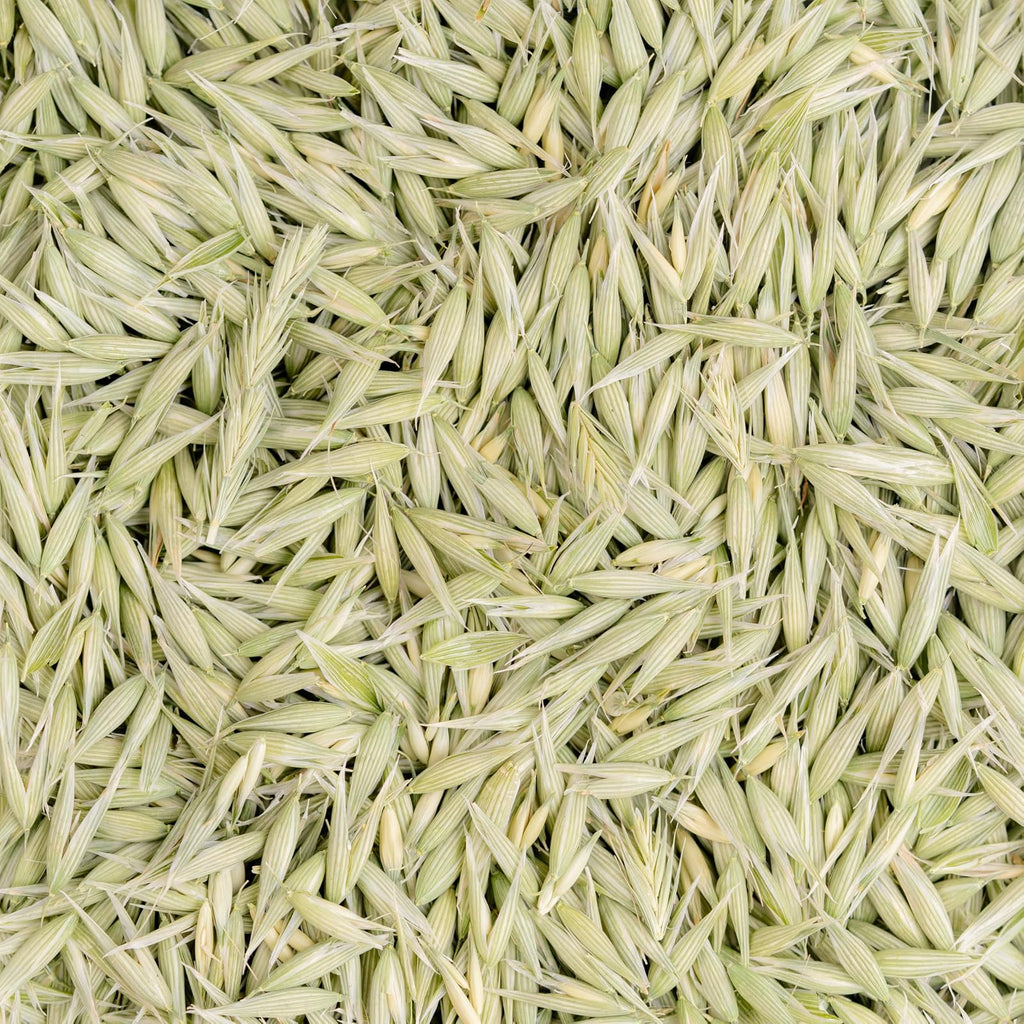 loose leaf Milky Oats for relaxation