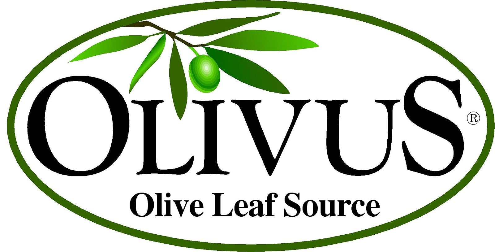 loose leaf olive tea for wellness