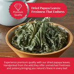 loose leaf papaya tea for wellness