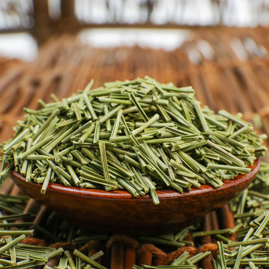 loose leaf pine needle tea benefits