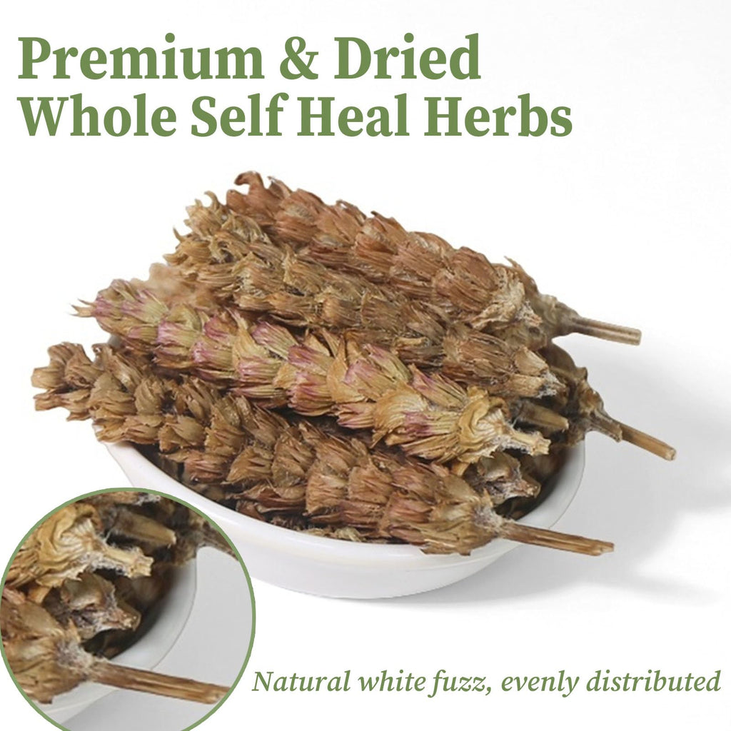 loose leaf Prunella Vulgaris benefits