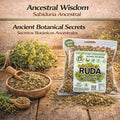 loose leaf Ruda Seca herbal infusion