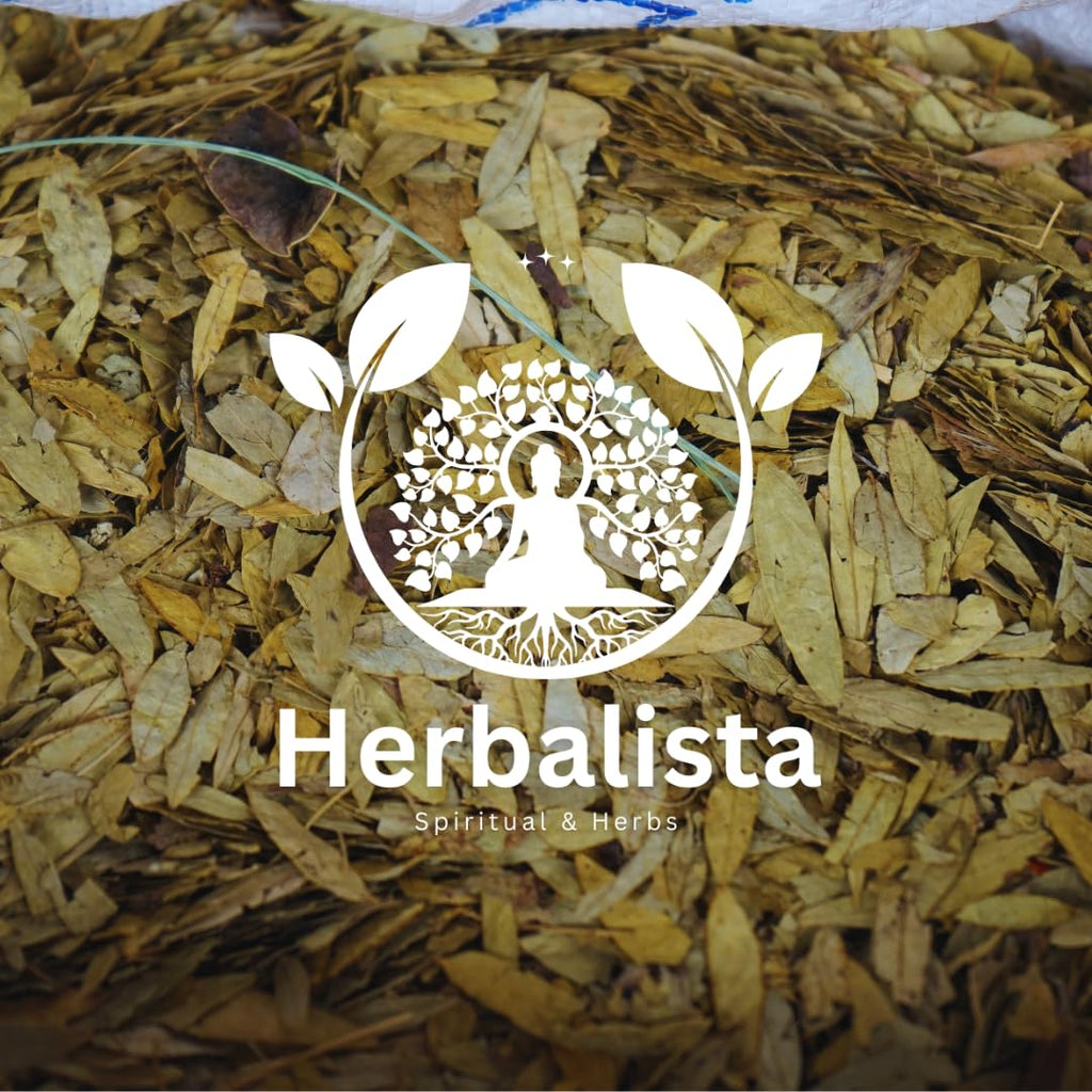 Loose leaf senna tea benefits