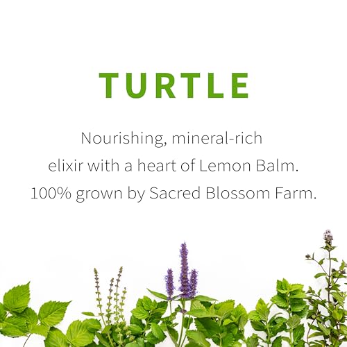 loose leaf Turtle Herbal Tea for relaxation