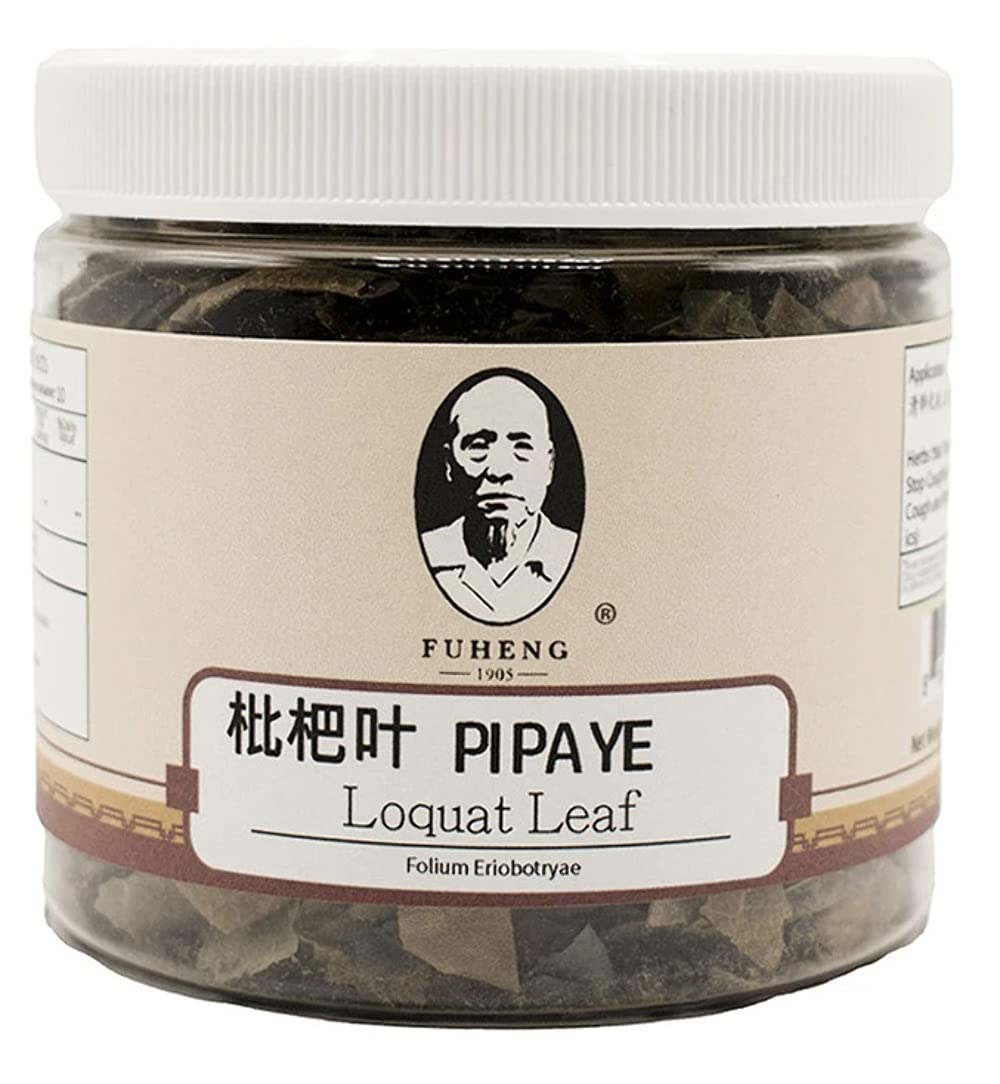 loquat leaf benefits for health