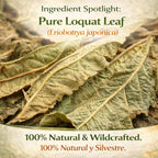 loquat leaf tea for relaxation