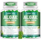 LotinYntu algae omega 3 gummies