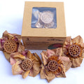 Lotus flower tea blooming beauty