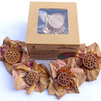 Lotus flower tea blooming beauty