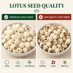 lotus seeds for herbal tea