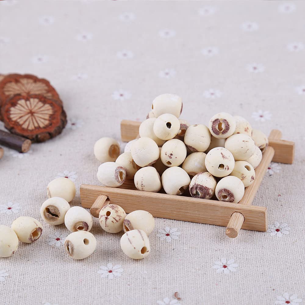 lotus seeds for nutritious meals