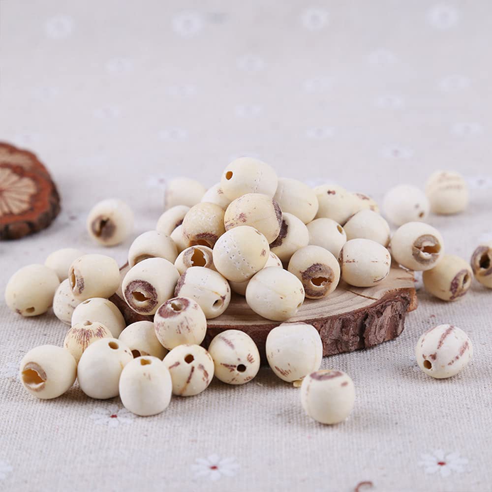 lotus seeds rich in vitamins