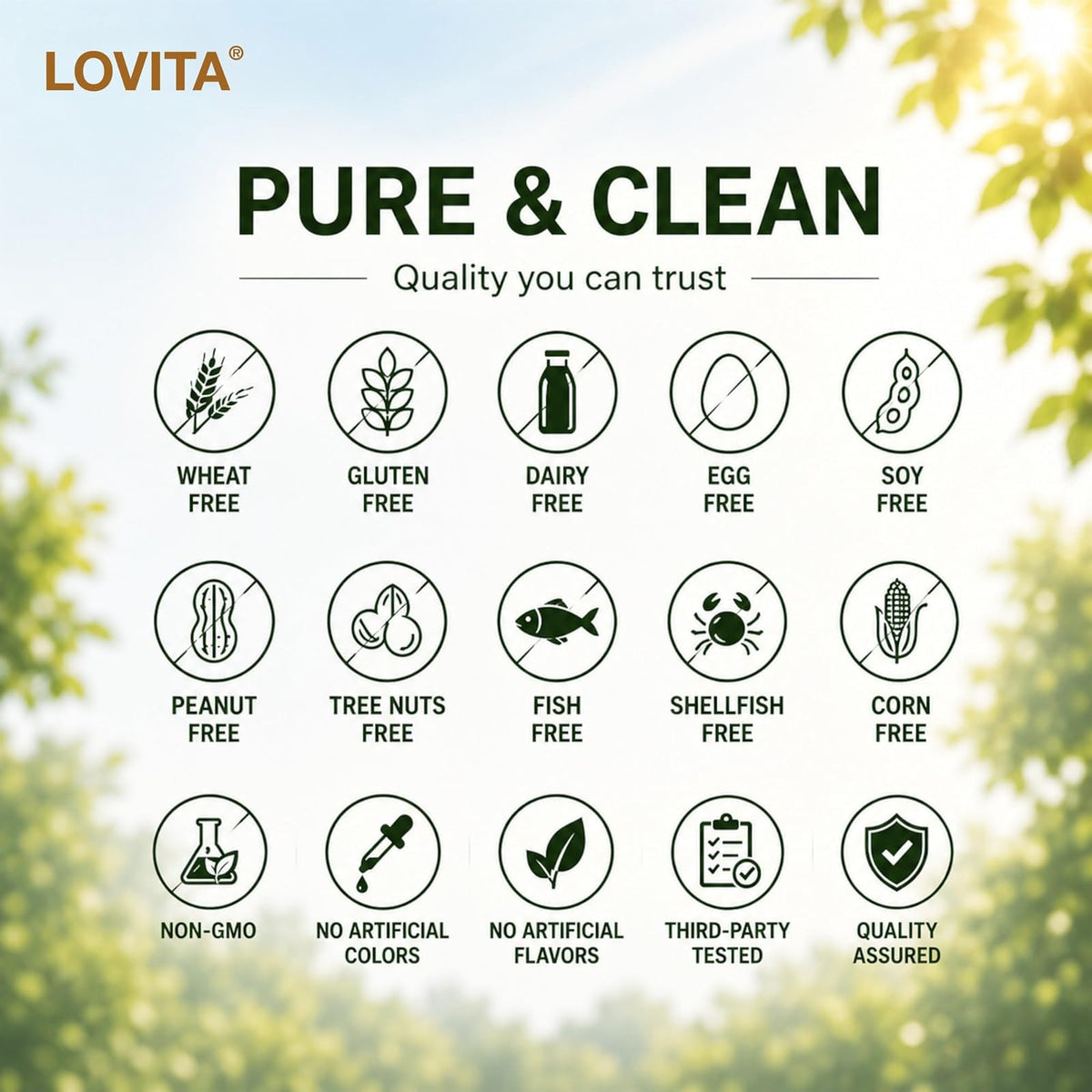 LOVITA vegan capsules for wellness