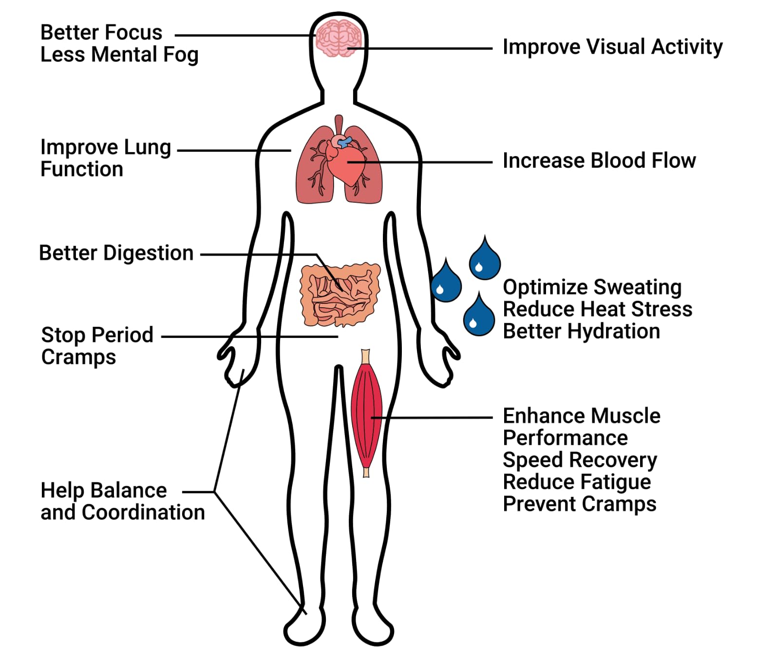 low calorie electrolyte drink