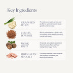 low-carb chocolate protein supplement