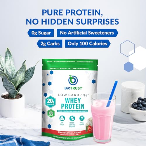 Low carb protein powder for weight loss