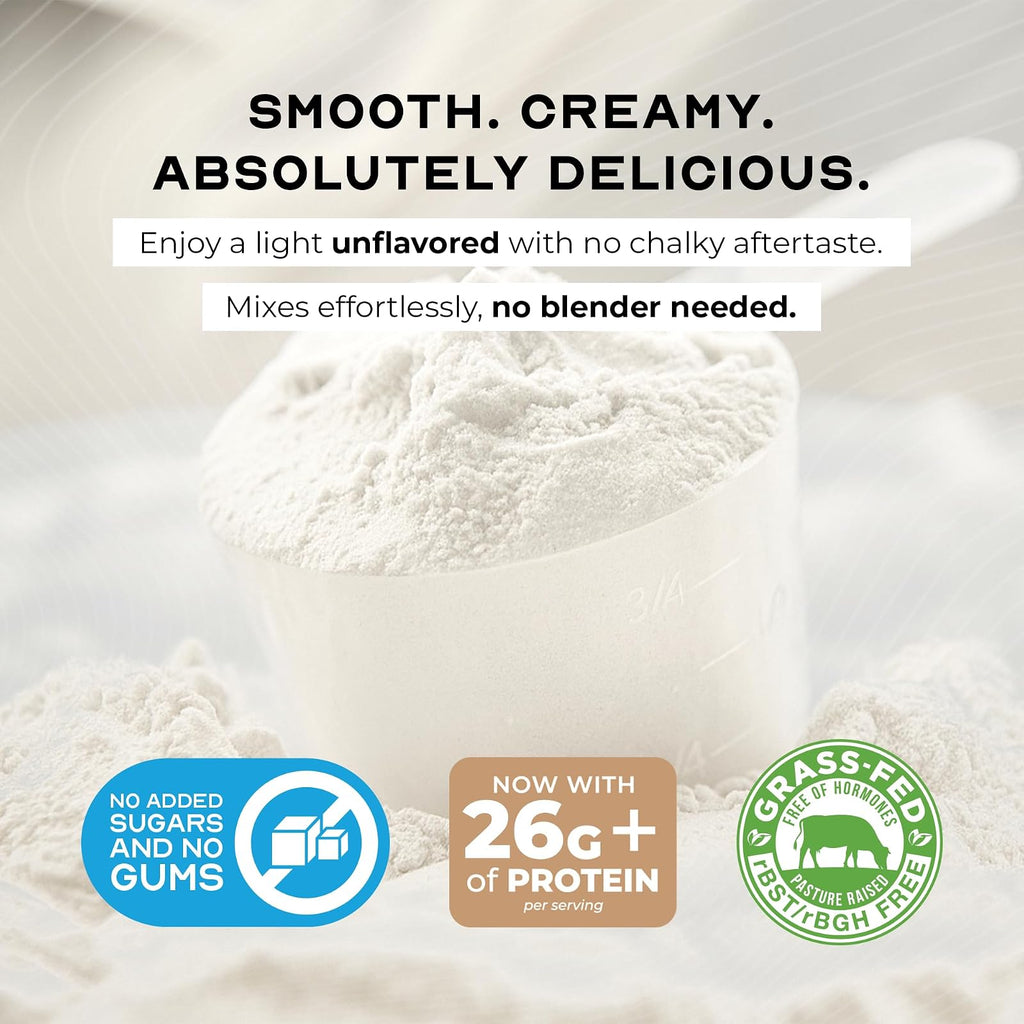 low-carb whey protein option