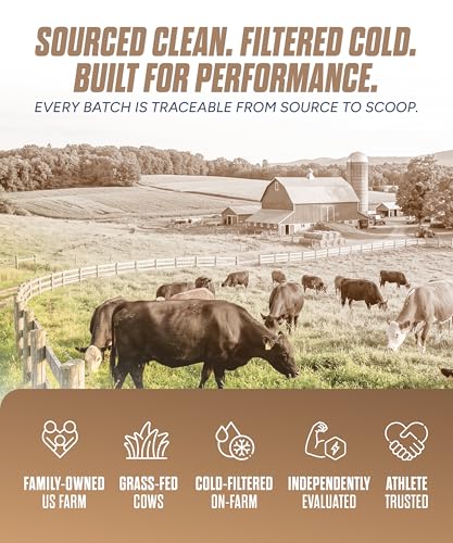 low carb whey protein supplement