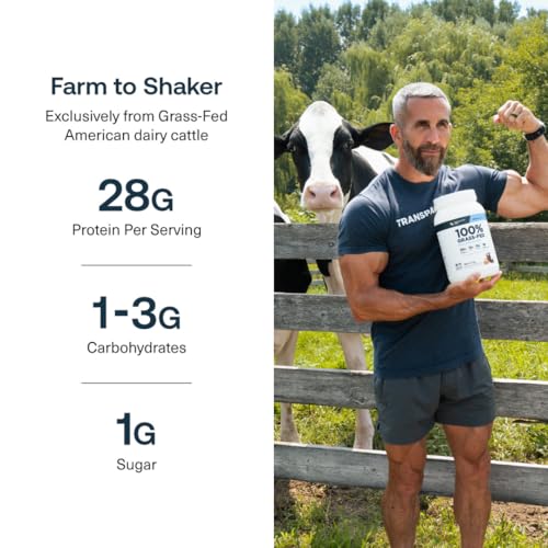 low lactose whey protein isolate