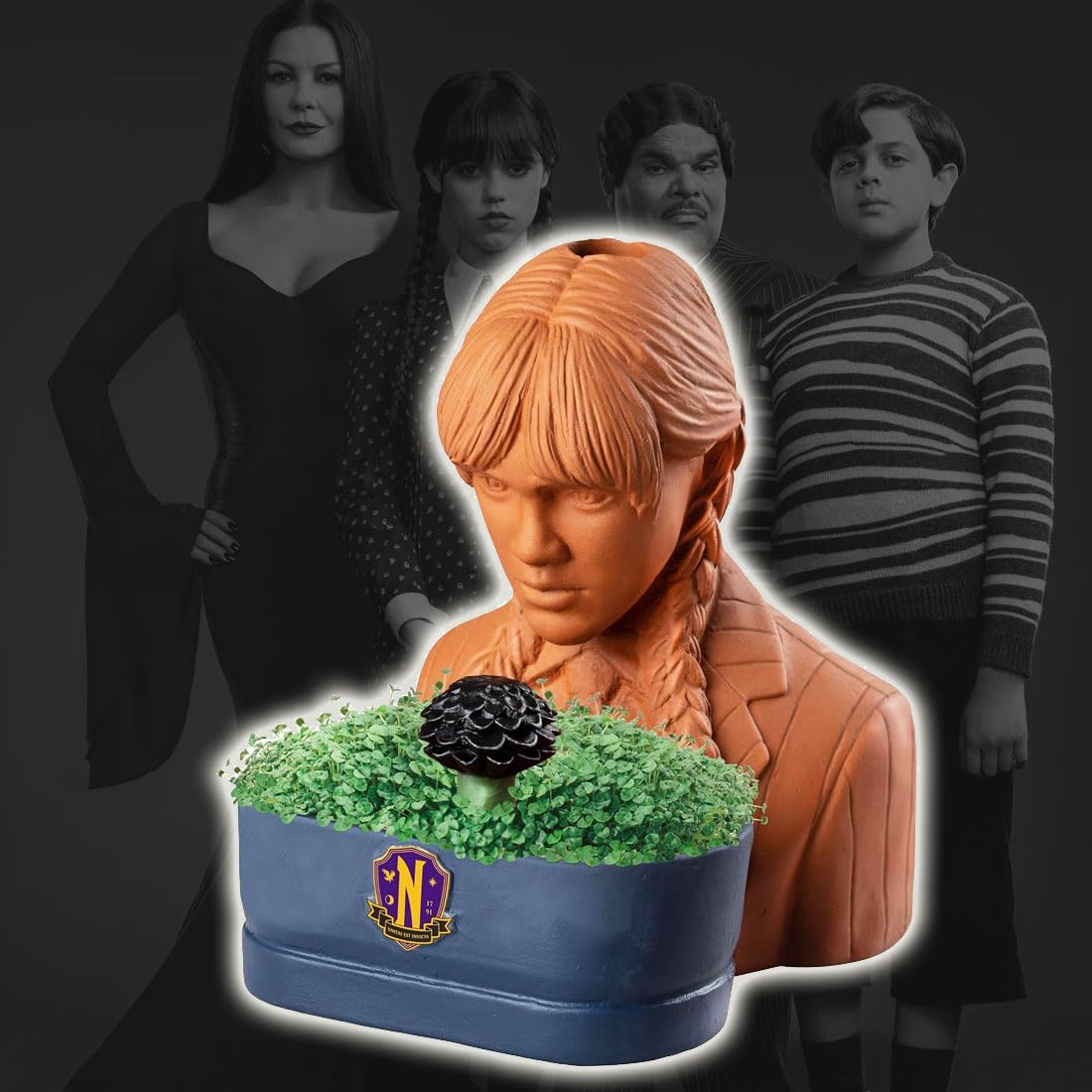 low maintenance chia pet