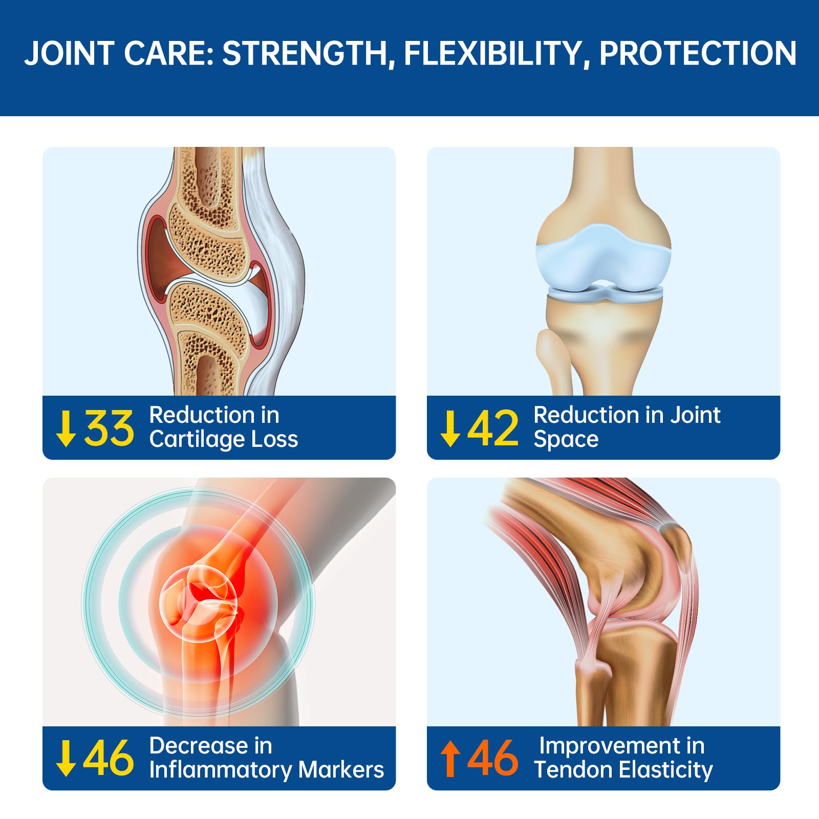 Lower Purine joint support supplement