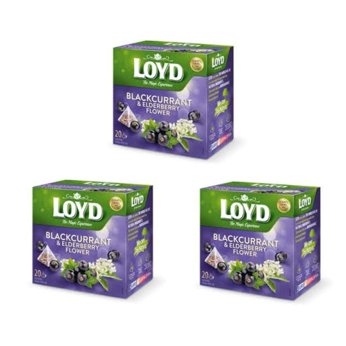LOYD blackcurrant elderberry tea bags