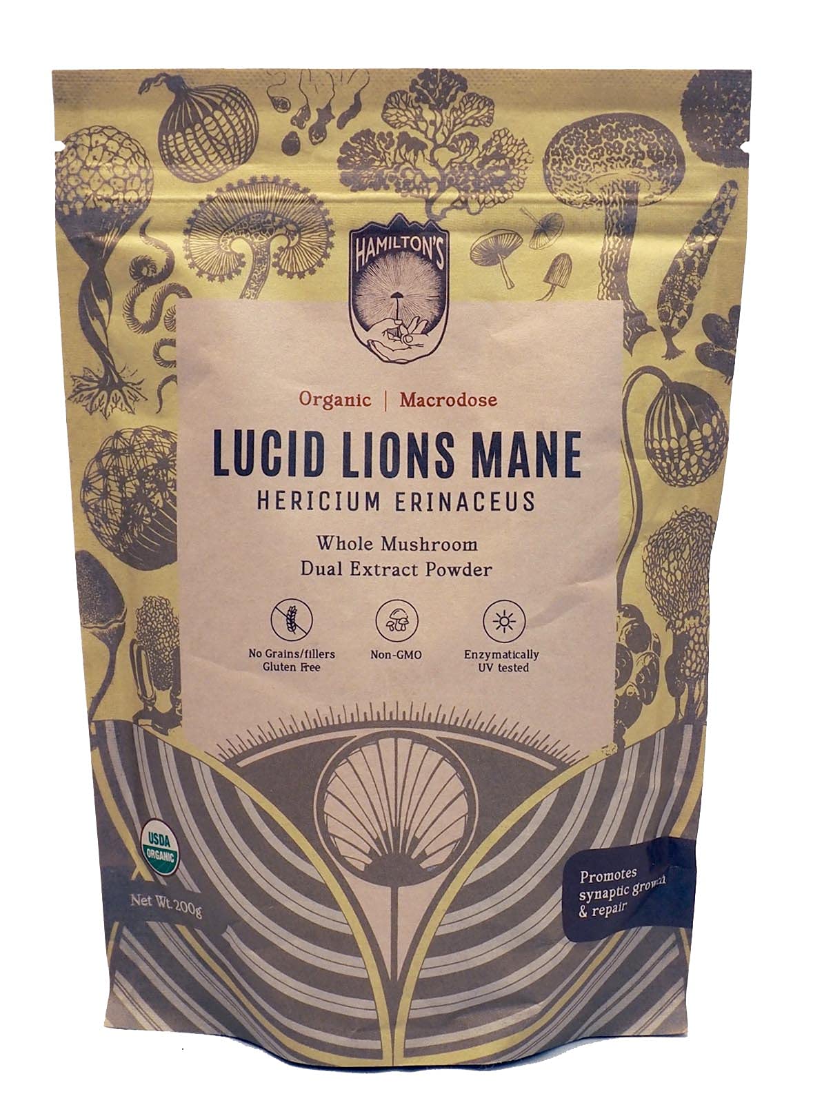 Lucid Lion's Mane mushroom extract
