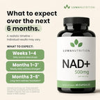 Luma Nutrition energy boosting supplement