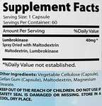 lumbrokinase capsules for improved digestion