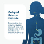 Lumbrokinase for improved circulation