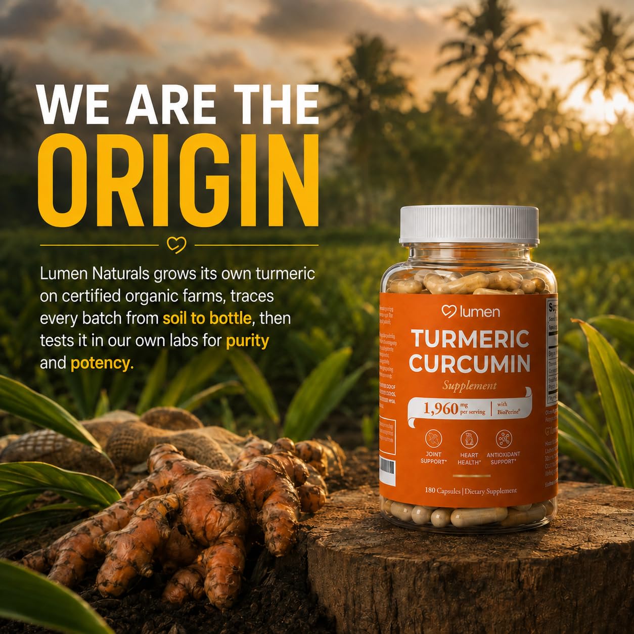 Lumen Naturals herbal wellness formula