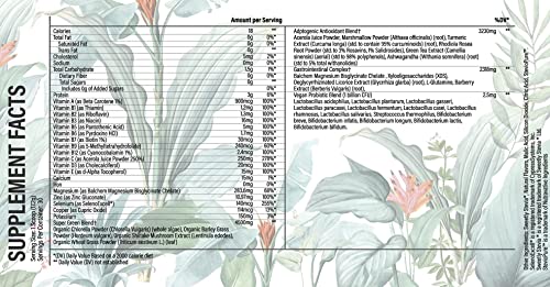 Lune skin elixir for balanced skin health