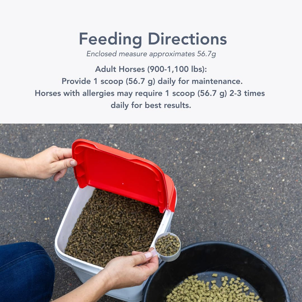 lung support vitamins for horses