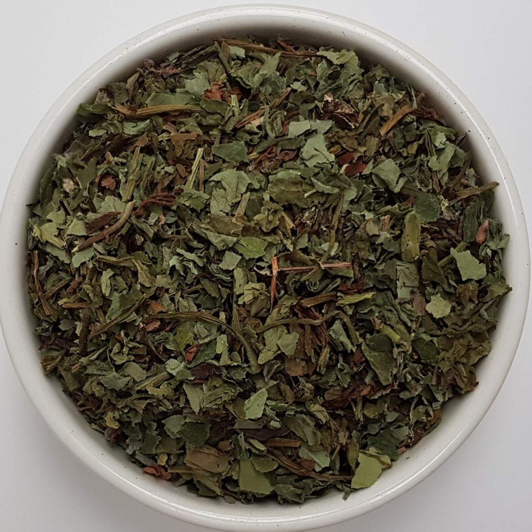 Lungwort herb infusion for wellness