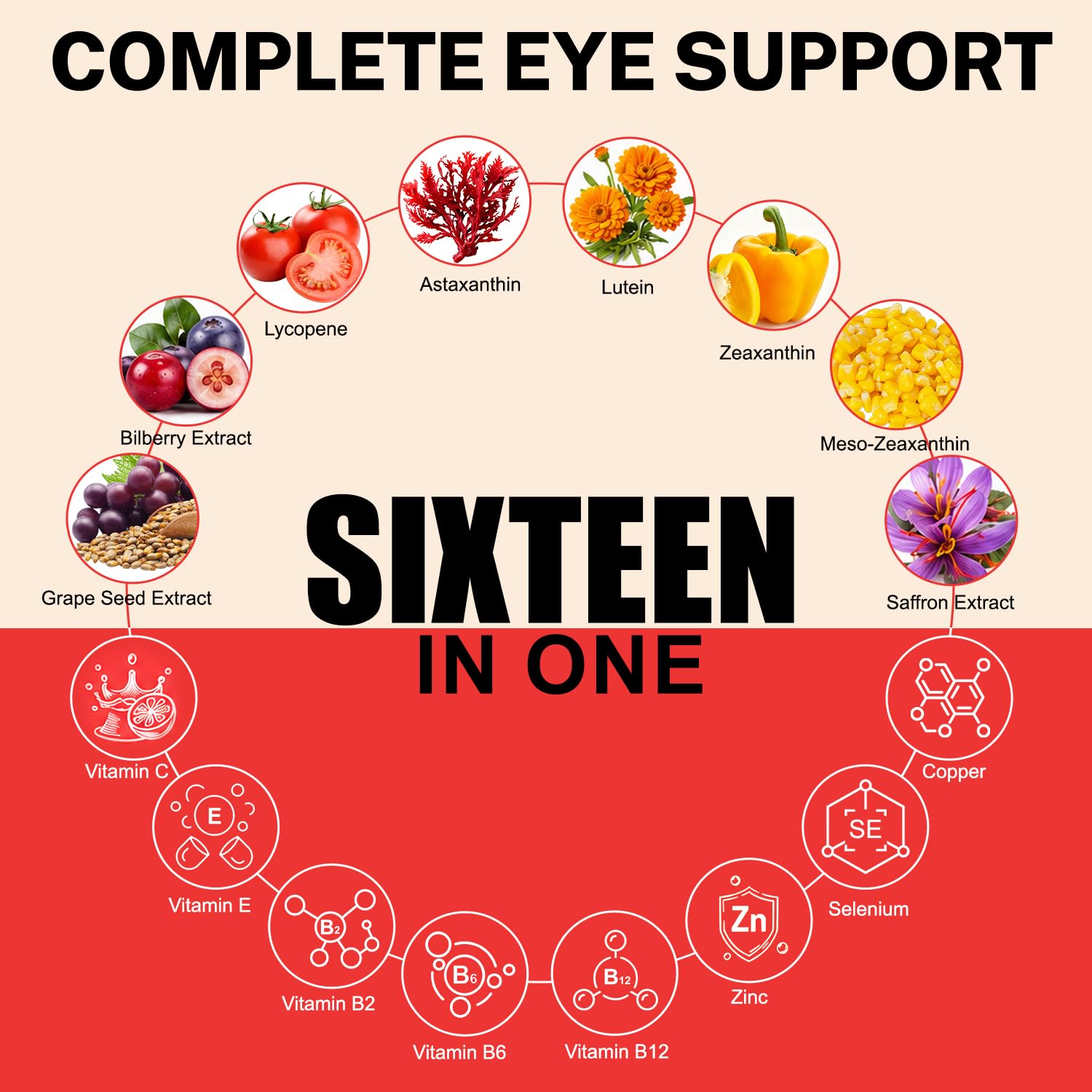 Lutein and astaxanthin antioxidant support