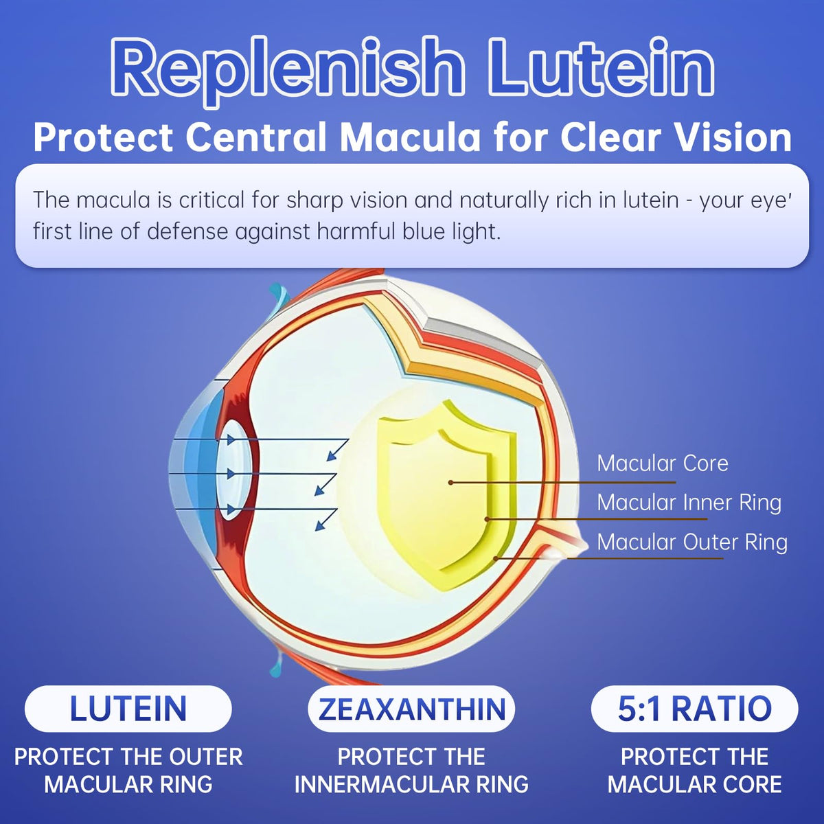 Lutein & zeaxanthin for healthy vision