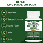 Luteolin for healthy inflammation response