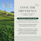 Luxmi Estates loose leaf green tea