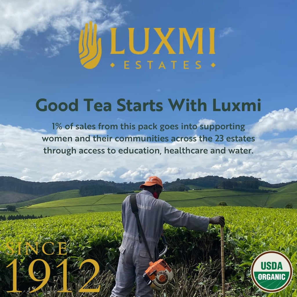 Luxmi Estates organic tea experience