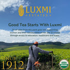 Luxmi Estates organic tea experience