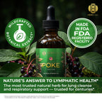 Lymphatic drainage drops benefits