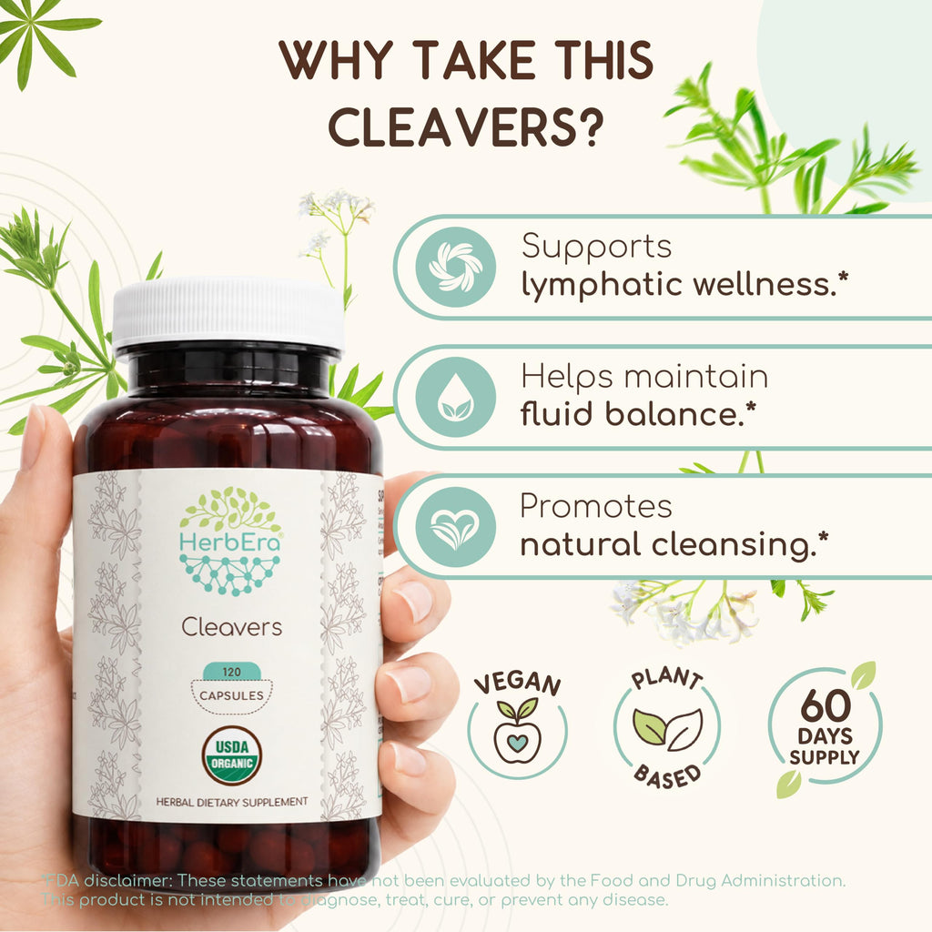 lymphatic health with cleavers